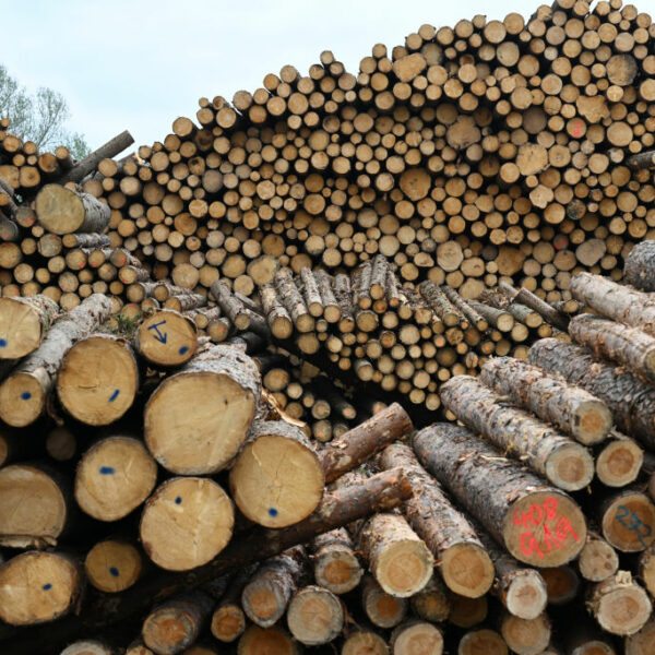 Wood Pellet Giant Enviva Discloses a Financial Crisis - Inside Climate News