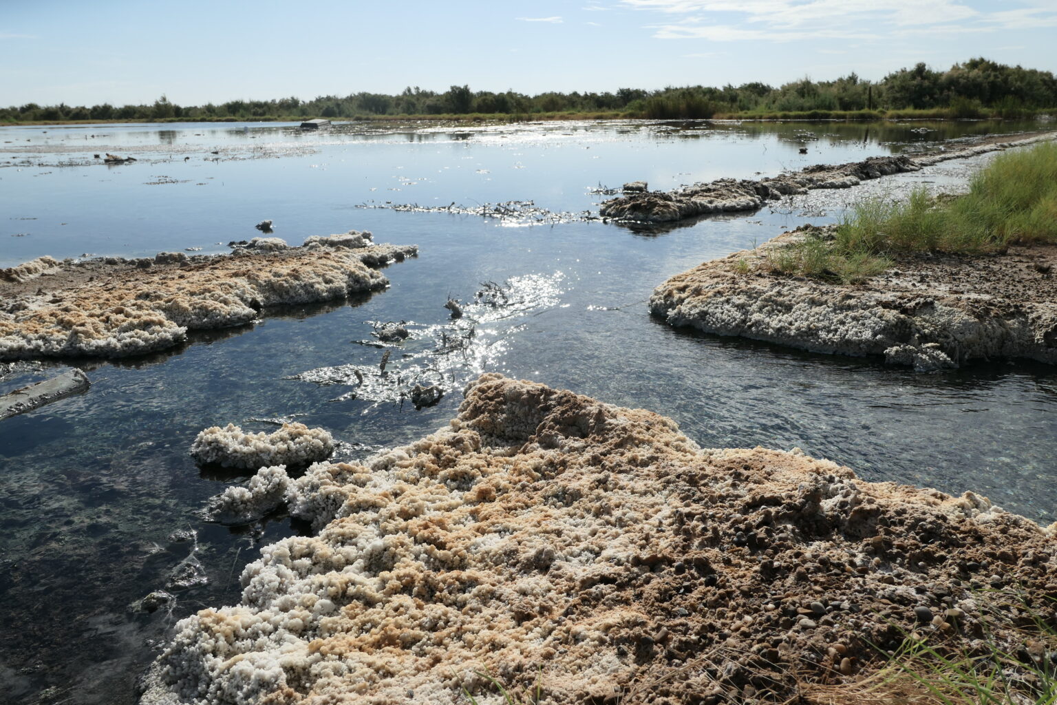 Oil and Gas Companies Spill Millions of Gallons of Wastewater in Texas ...