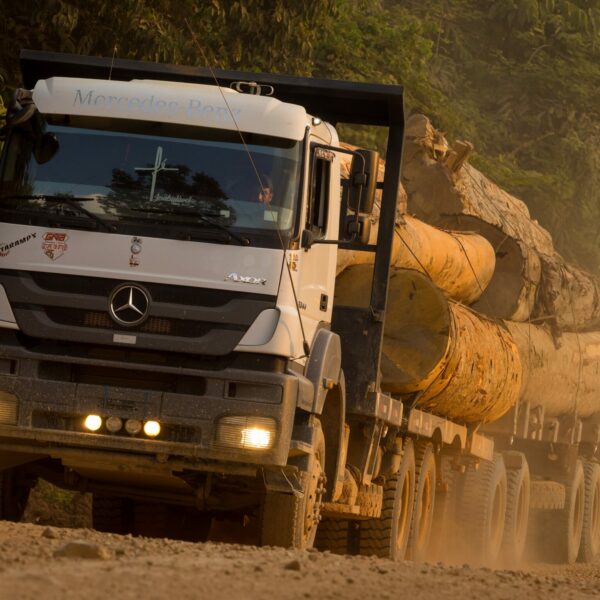 The Deteriorating Environment Is a Public Concern, but Americans ...