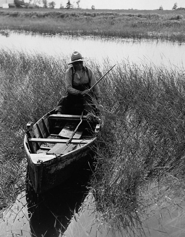 Dirty Water and Dead Rice: The Cost of the Clean Energy Transition in ...