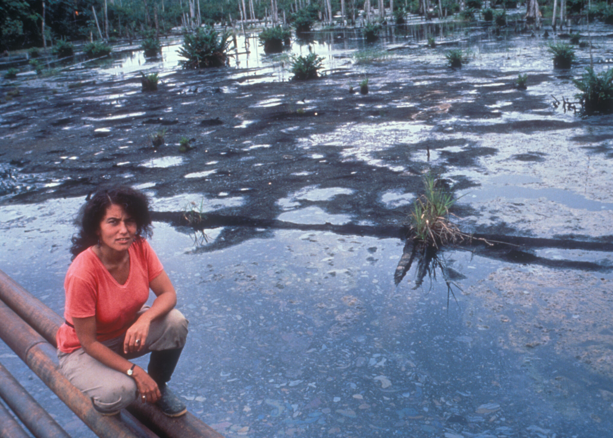 Judith Kimerling’s 1991 ‘Amazon Crude’ Exposed the Devastation of Oil ...
