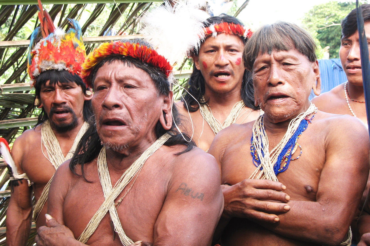 Judith Kimerling’s 1991 ‘Amazon Crude’ Exposed the Devastation of Oil ...