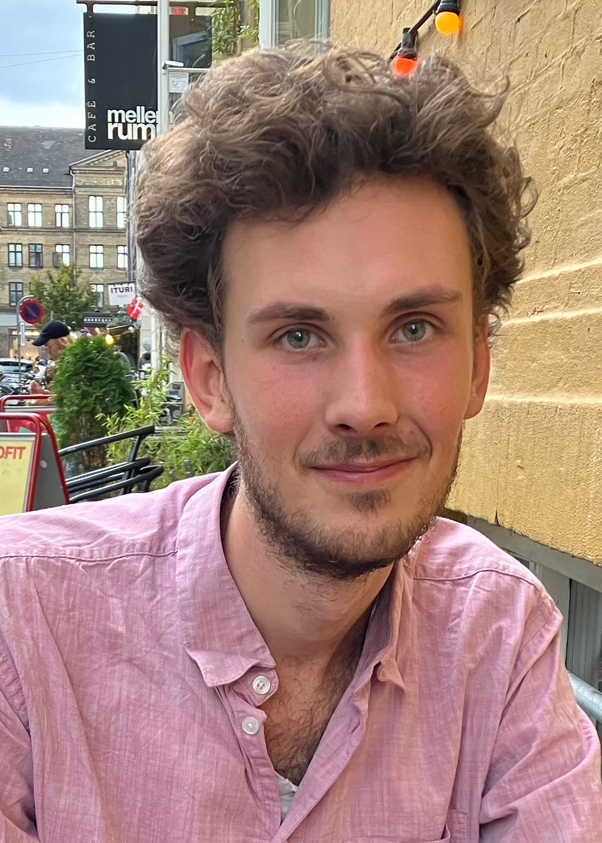 What I Learned About Clean Energy in Denmark - Inside Climate News