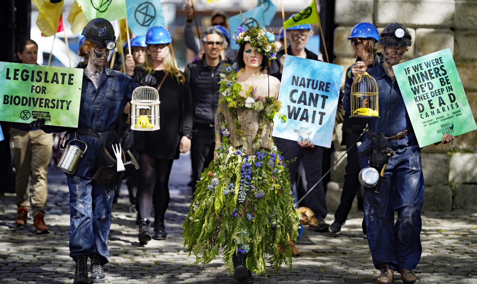 Ireland Could Become the Next Nation to Recognize the Rights of Nature ...