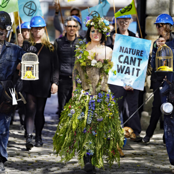 Aruba Embraces the Rights of Nature and a Human Right to a Clean ...