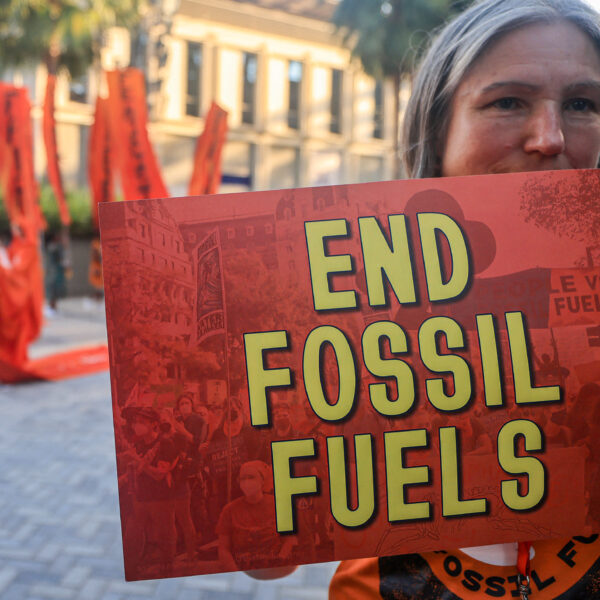 At COP28, a Growing Sense of Alarm Over the Harms of Air Pollution ...