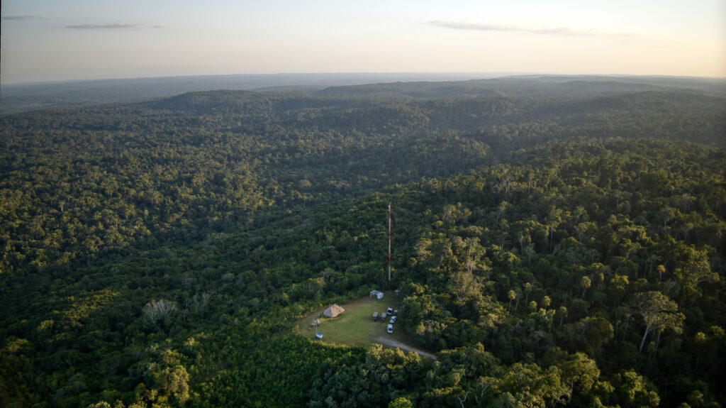 Can Carbon Offsets Save a Fragile Band of Belize’s Tropical Rainforest ...