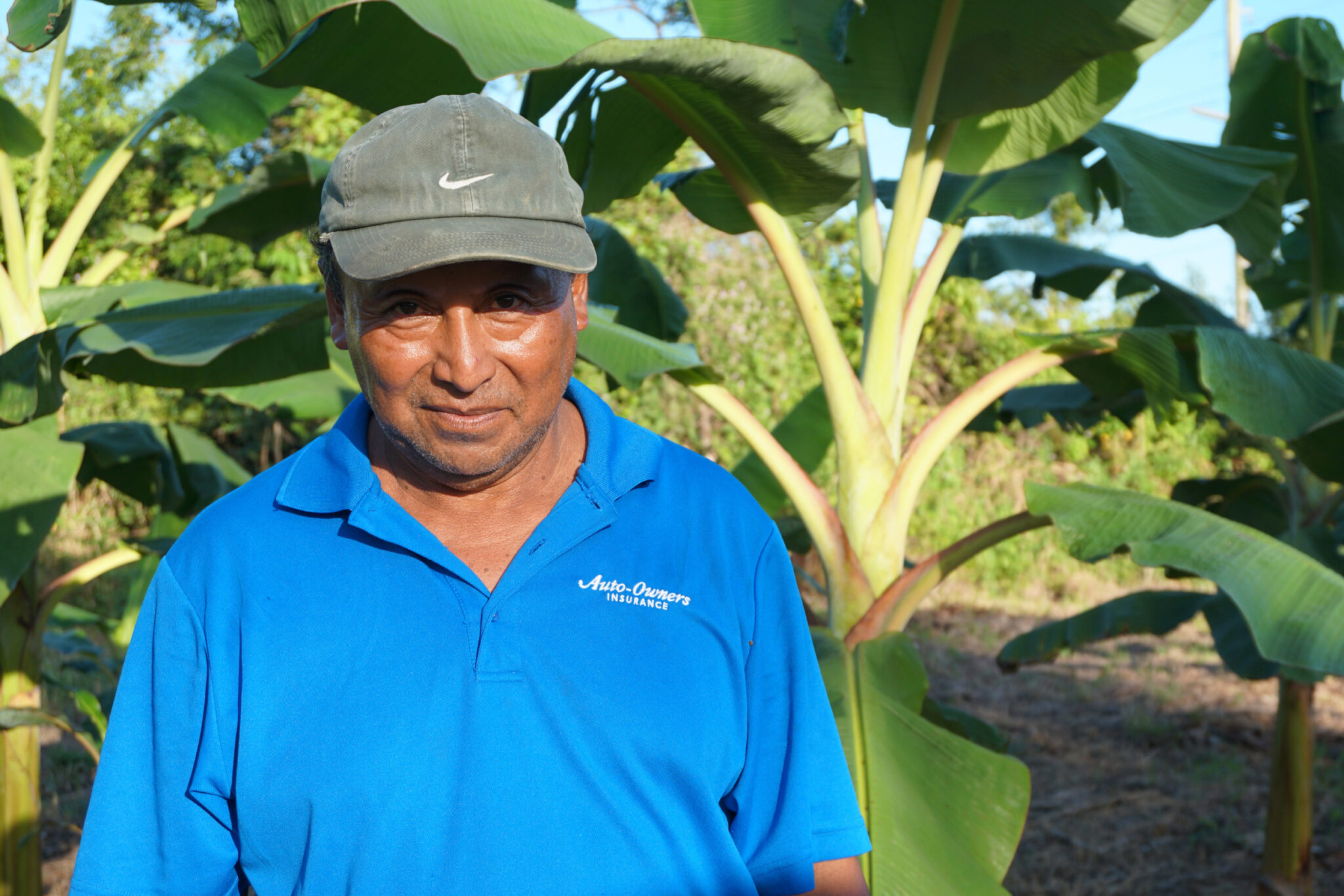 Can Carbon Offsets Save a Fragile Band of Belize’s Tropical Rainforest ...
