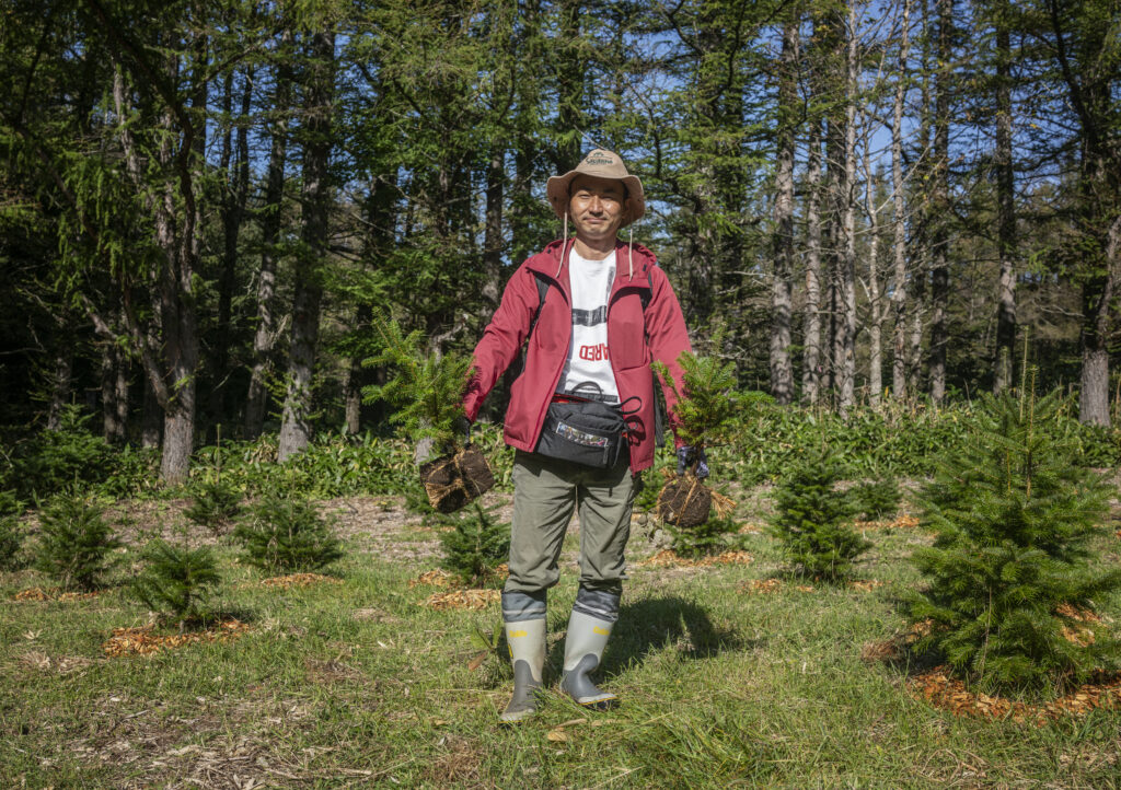 Rewilding Japan With Clearings in the Forest and Crowdfunding Campaigns ...