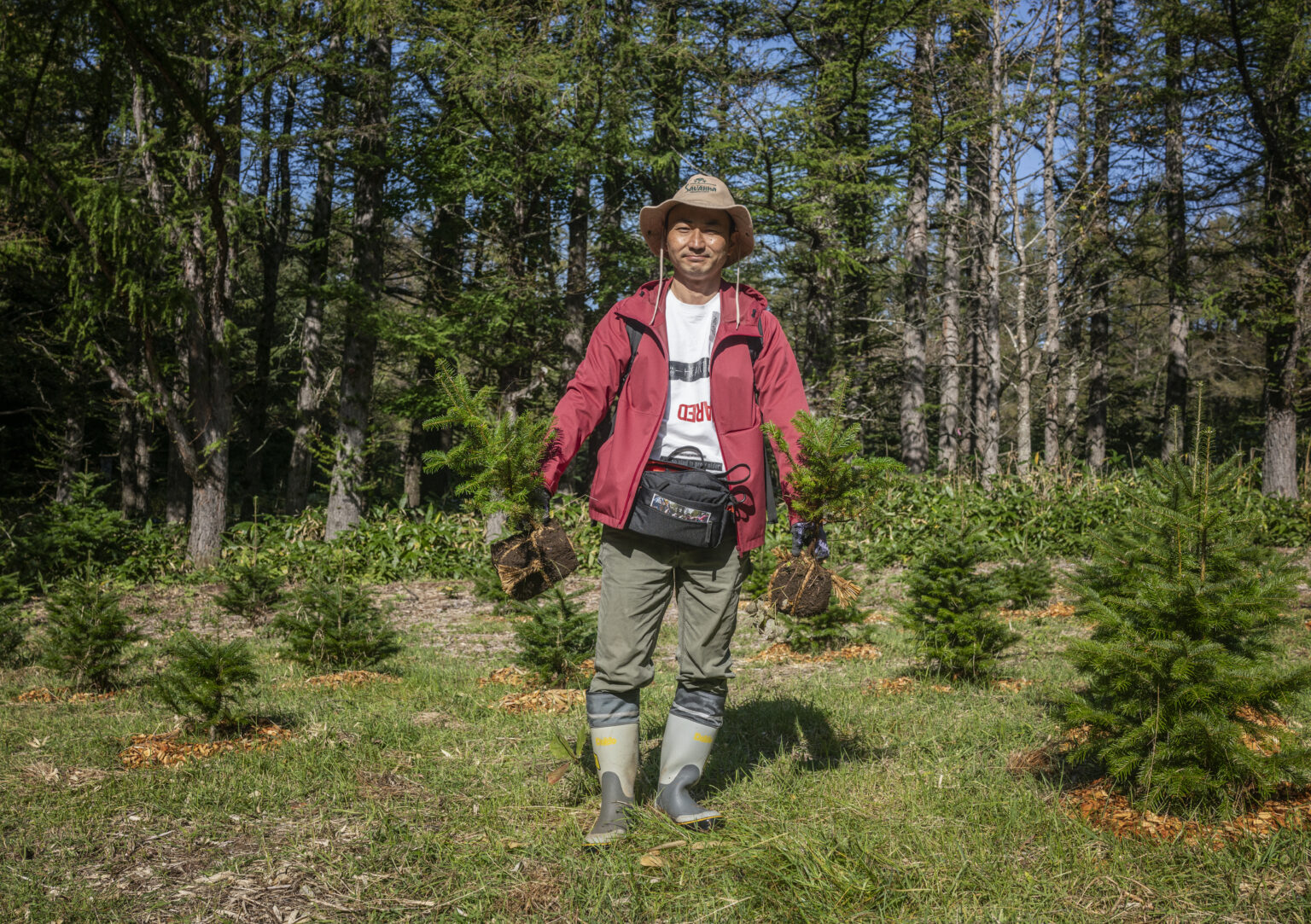 Rewilding Japan With Clearings in the Forest and Crowdfunding Campaigns ...