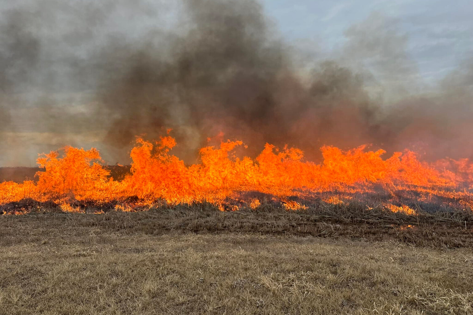 From Michigan to Nebraska, Midwest States Face an Early Wildfire Season ...