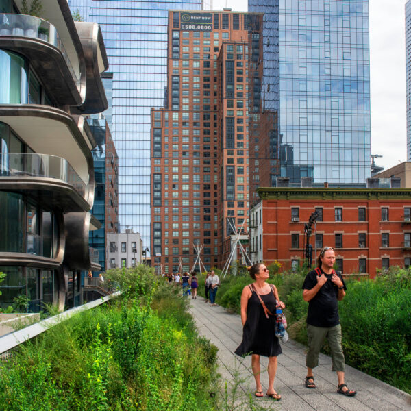 Keeping Stormwater at Bay: a Brooklyn Green Roof Offers a Look at a ...