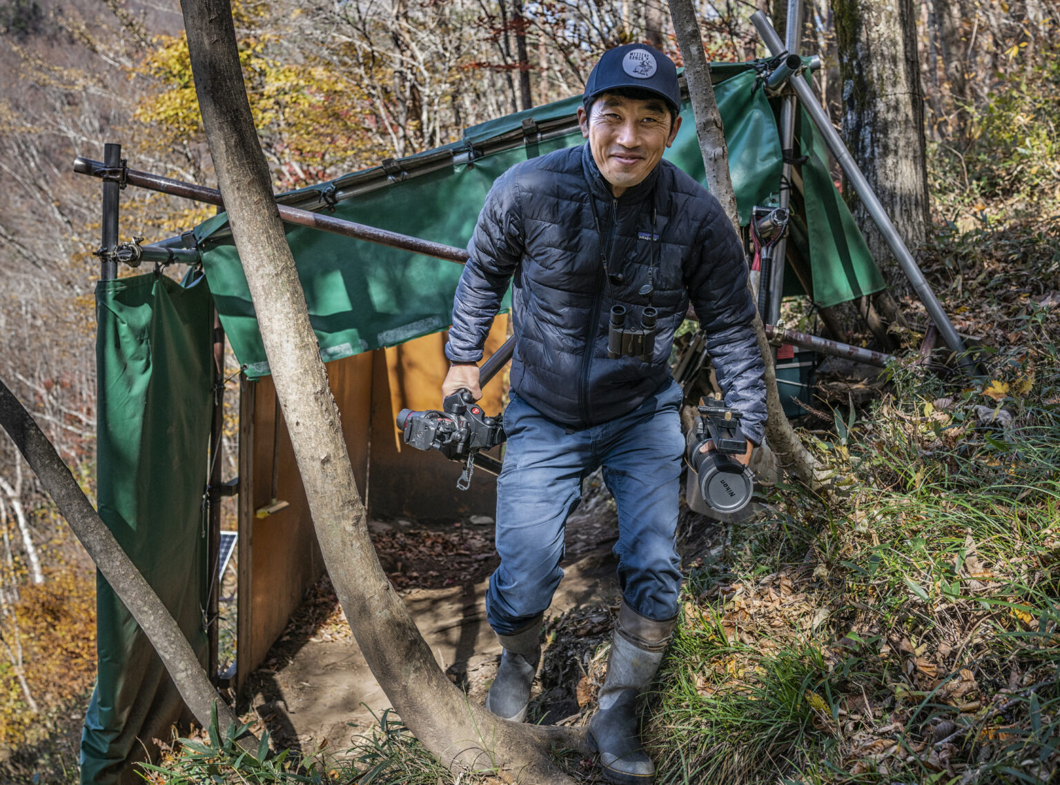 Rewilding Japan With Clearings in the Forest and Crowdfunding Campaigns ...