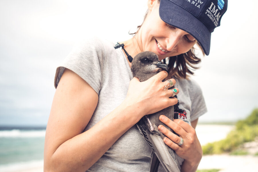 Increasingly Frequent Ocean Heat Waves Trigger Mass Die-Offs of Sealife ...