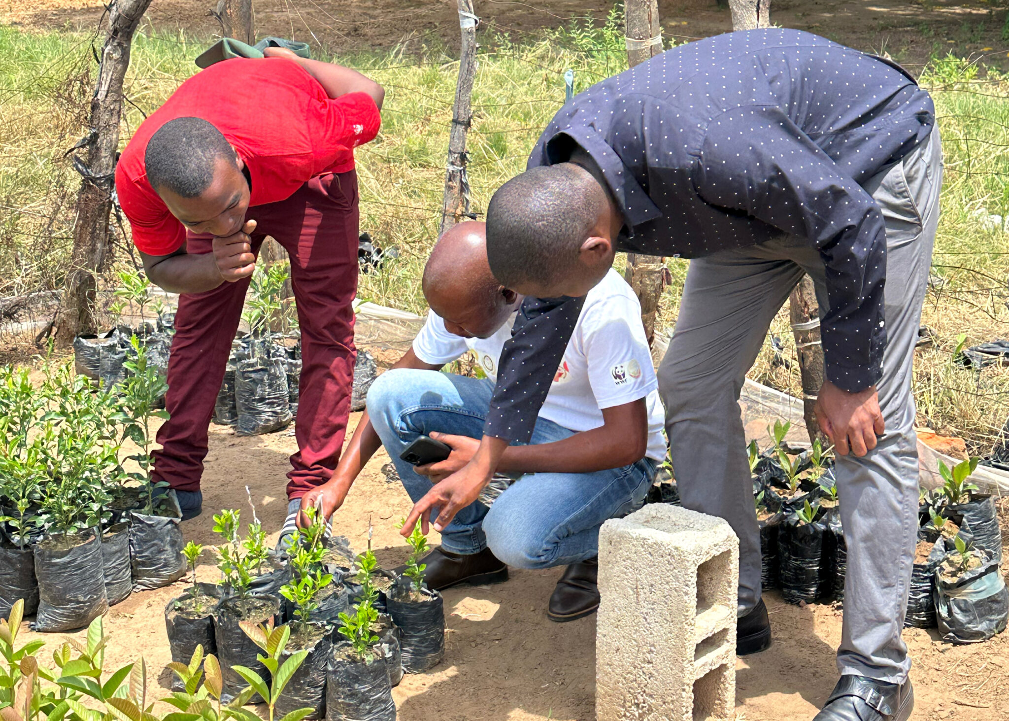 Zambians Feel the Personal Consequences of Climate Change—and Dream of ...