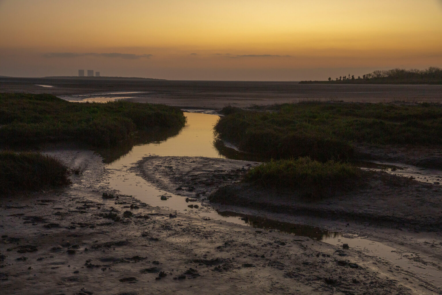 Forgotten Keepers of the Rio Grande Delta: a Native Elder Fights Fossil ...