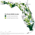 Florida in 50 Years: Study Says Land Conservation Can Buffer ...