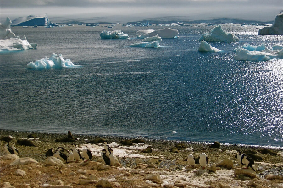 In Two New Studies, Scientists See Signs of Fundamental Climate Shifts ...