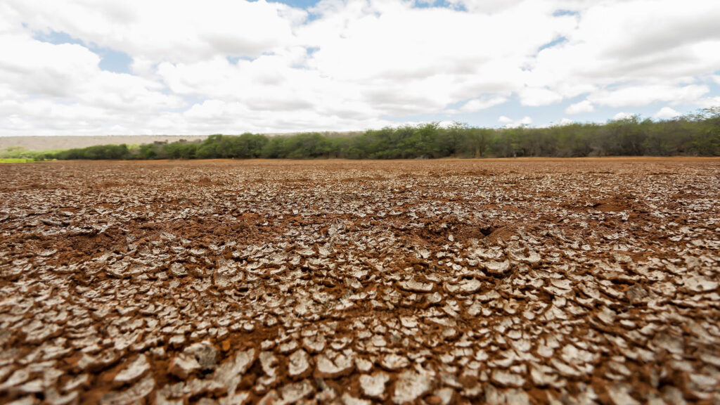 In Brazil’s Semi-Arid Region, Small Farmers Work Exhausted Lands ...