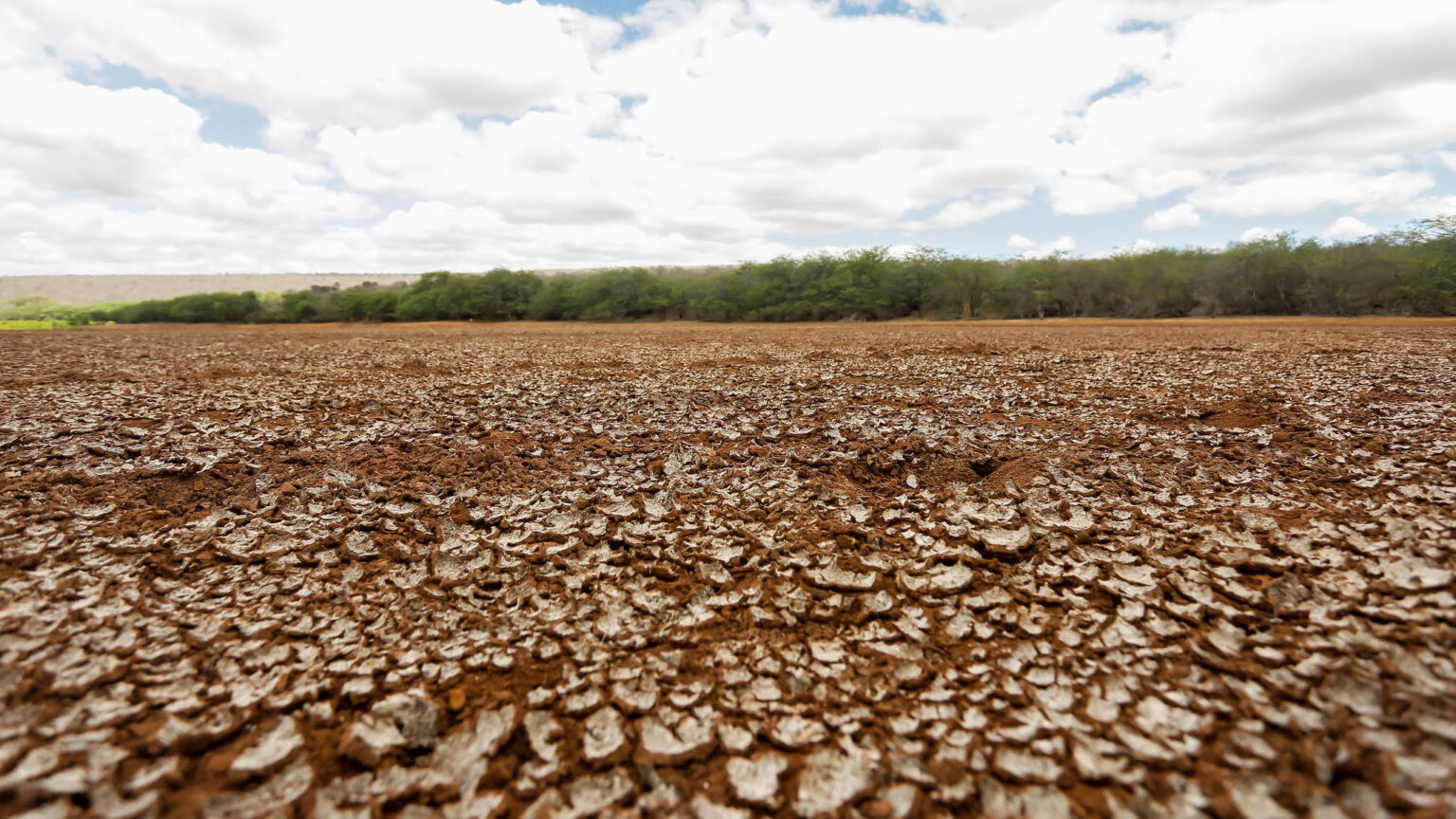 In Brazil’s Semi-Arid Region, Small Farmers Work Exhausted Lands ...