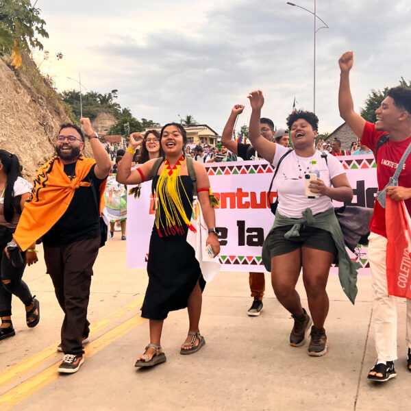 Bolivia's Rights of Nature Laws Go Unenforced as the Amazon Burns