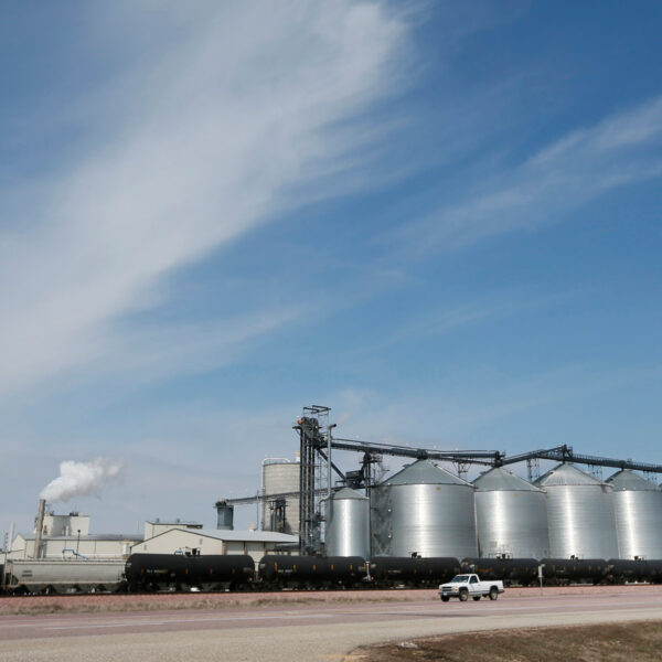 The Chesapeake Bay Program Isn't Likely to Hit Its 2025 Cleanup Goals ...