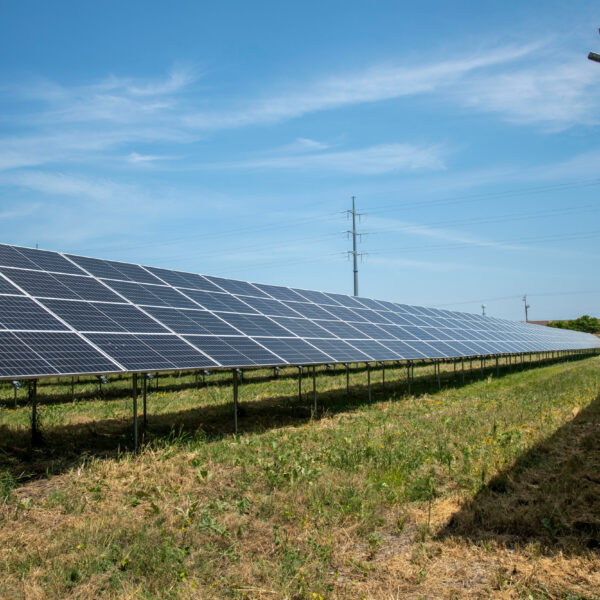 How Can Solar Farms Defend Against Biblical-Level Hailstorms? - Inside ...