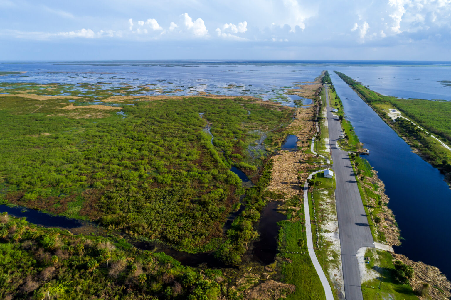 Billions of Gallons of Freshwater Are Dumped at Florida’s Coasts ...