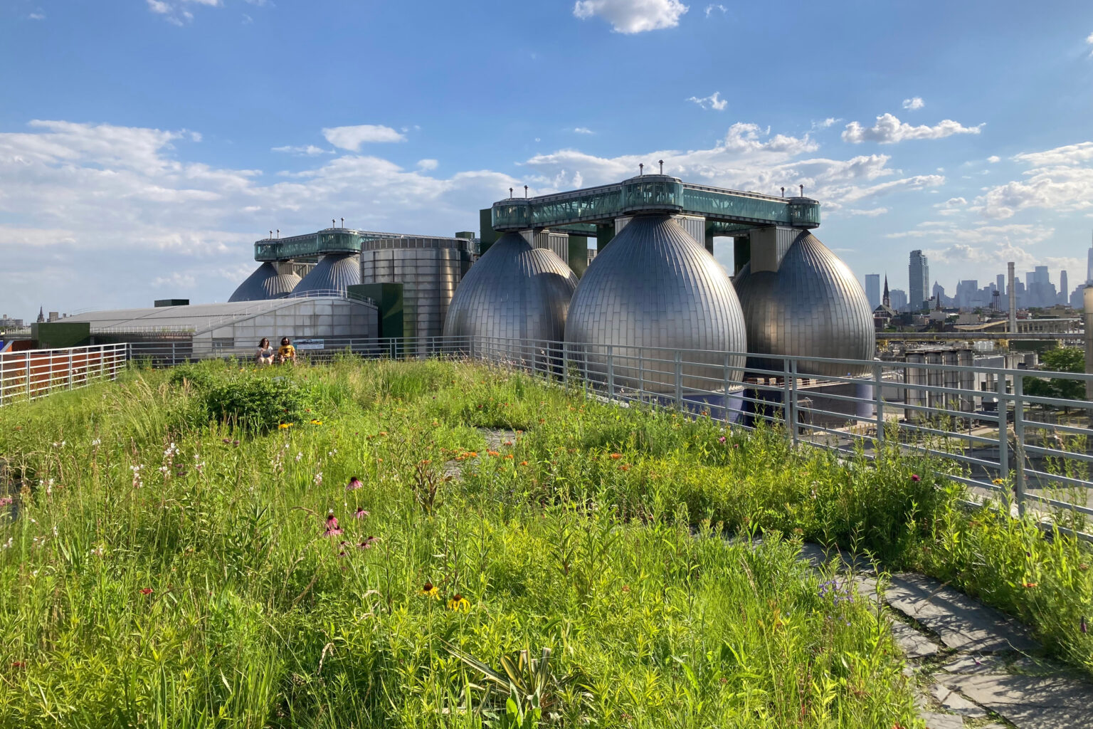 Keeping Stormwater at Bay: a Brooklyn Green Roof Offers a Look at a ...