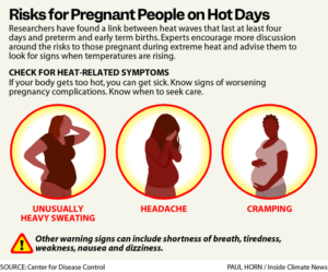 For Pregnant People, Heat Waves Bring An Increased Risk of Preterm and ...