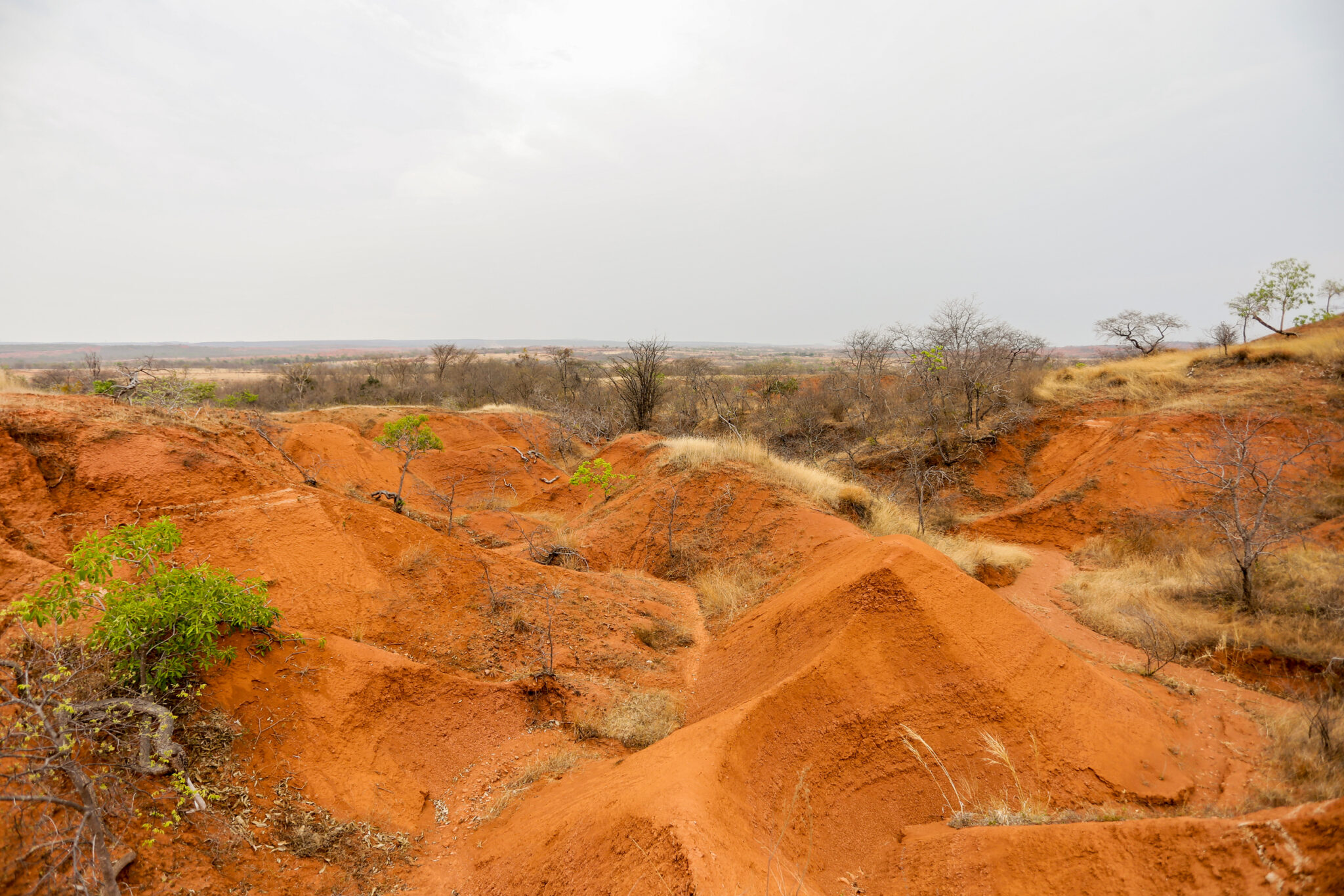 In Brazil’s Semi-Arid Region, Small Farmers Work Exhausted Lands ...