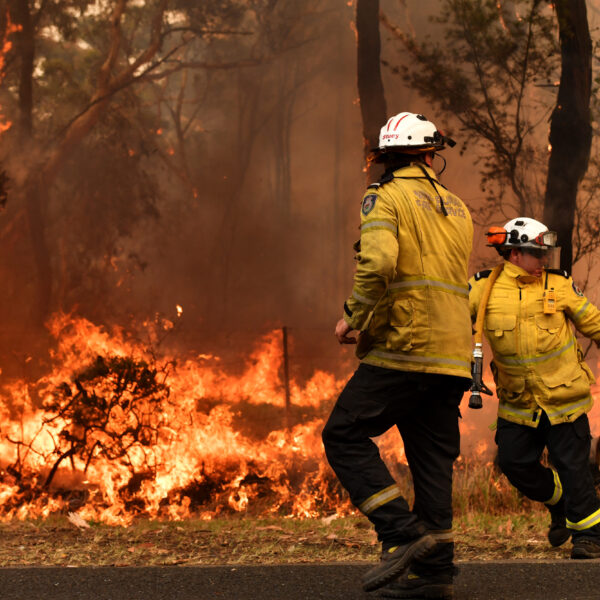 The Deteriorating Environment Is a Public Concern, but Americans ...