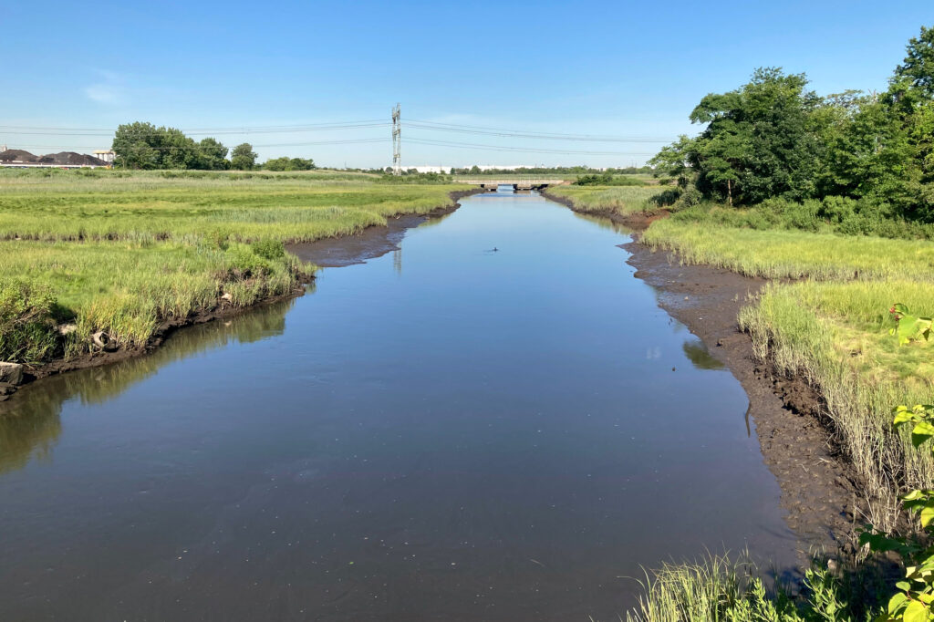 New York City’s Marshes, Resplendent and Threatened - Inside Climate News