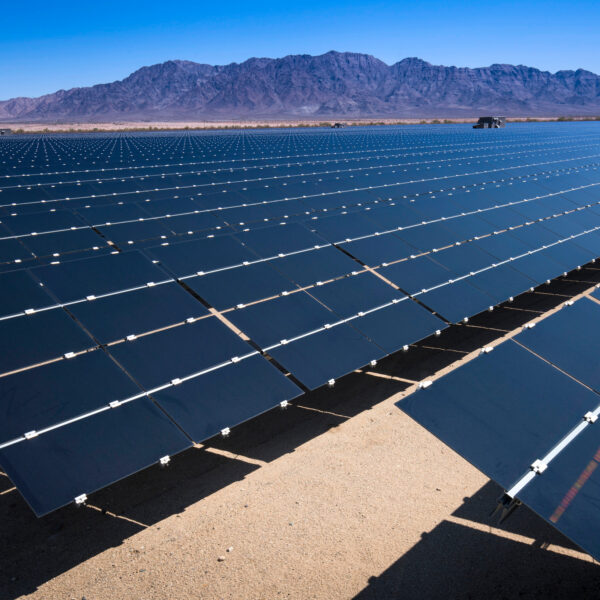 Environmental Groups Are United In California Rooftop Solar Fight, with ...