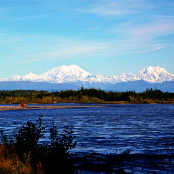 Fossil Fuel Funding Is ‘Embedded’ Across Academia. What Does That Mean ...