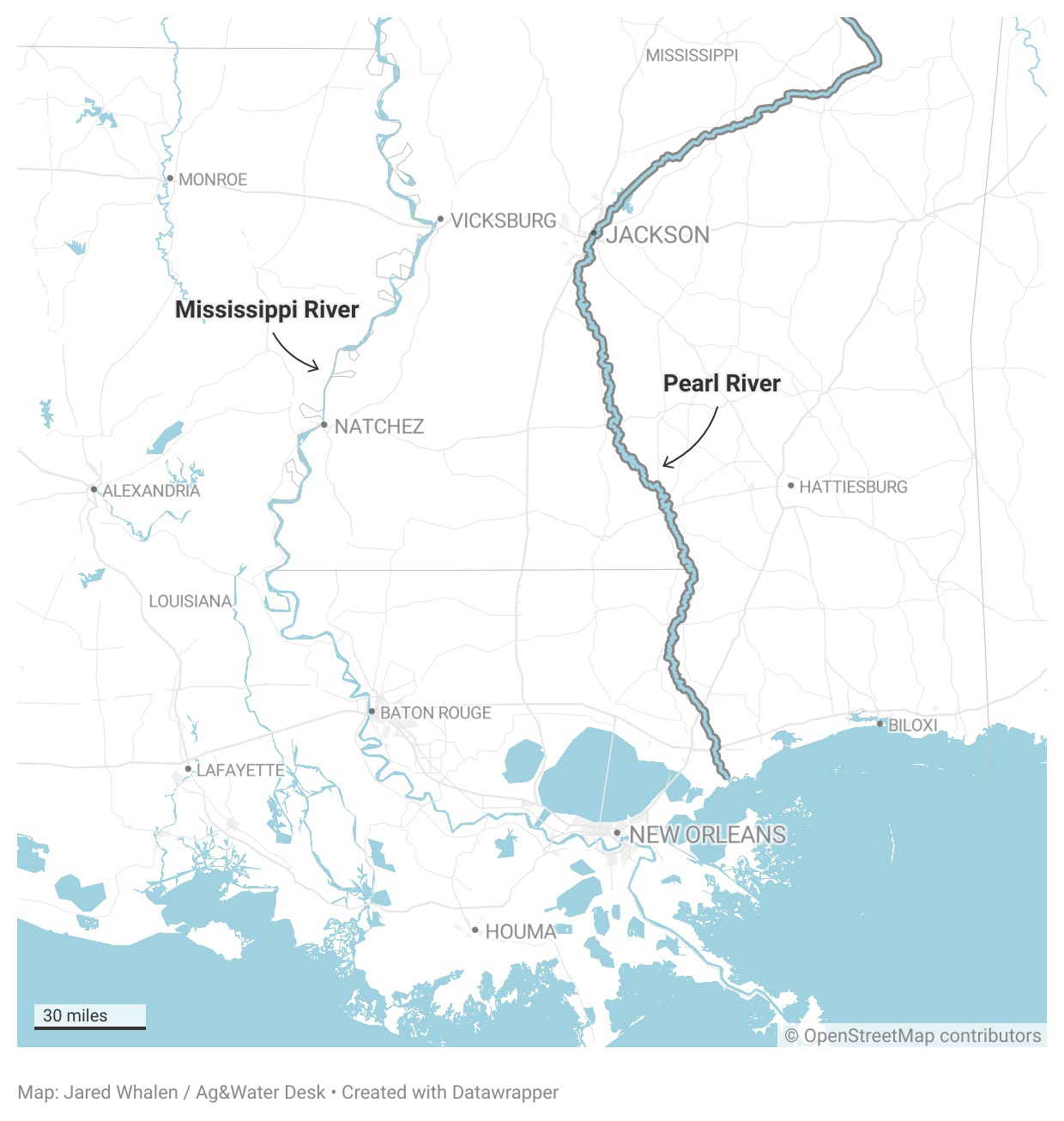 Can Mississippi Advocates Use a Turtle To Fight a Huge Pearl River ...
