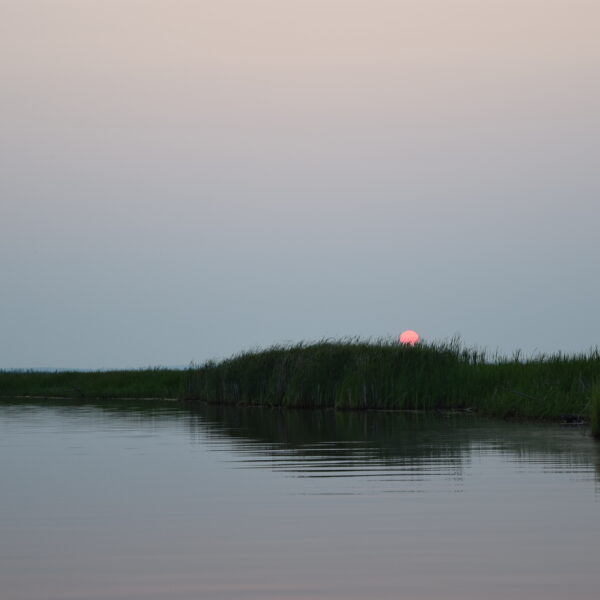 ‘Bad River,’ About a Tribe’s David vs. Goliath Pipeline Fight, Highlights the Power of Long-Term ...