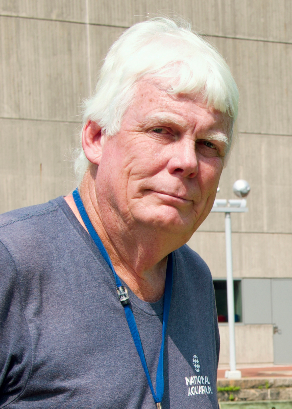 Baltimore Is Investing in Wetlands Restoration, a Climate Line of ...