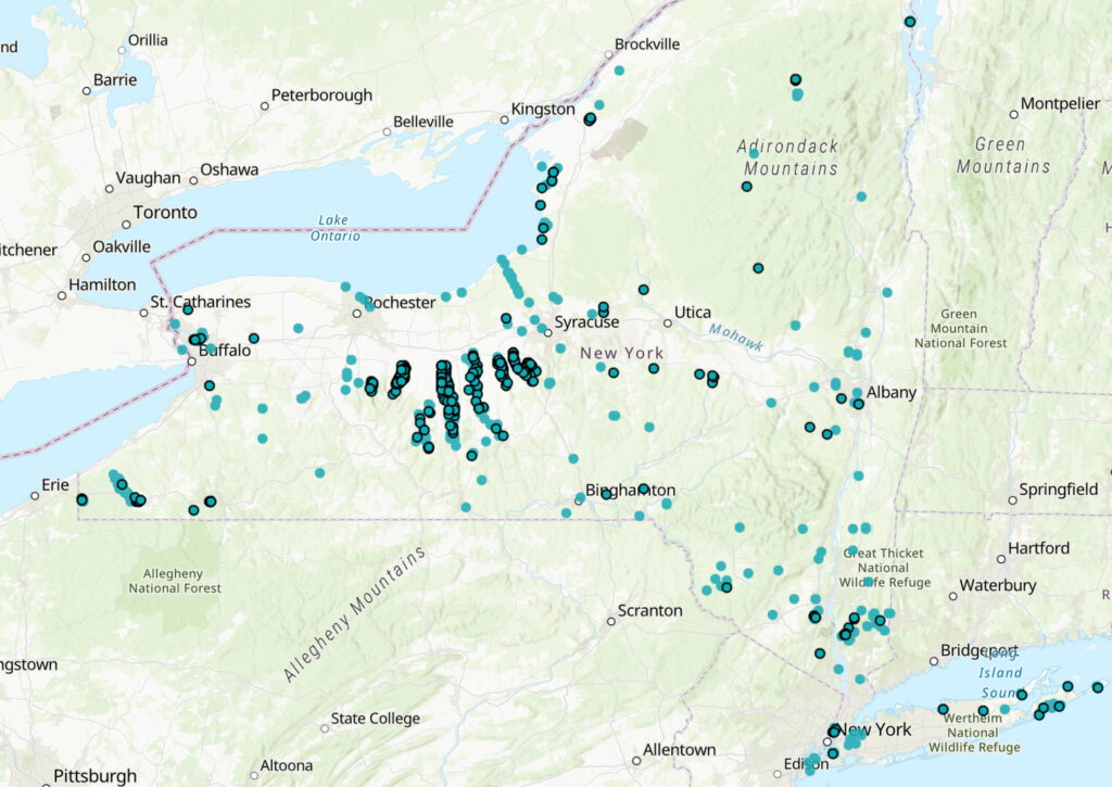 Algal Blooms Ravaged New York’s Finger Lakes During Final Week of ...