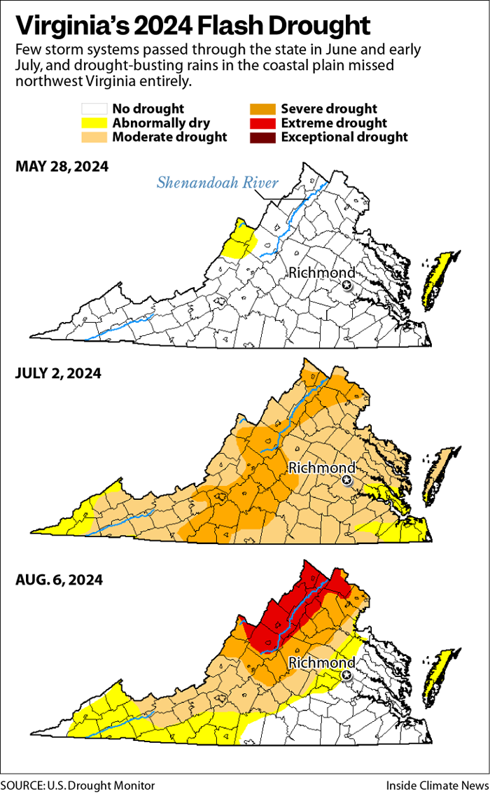 A Combination of Heat and Drought Walloped Virginia Vegetable Farmers ...