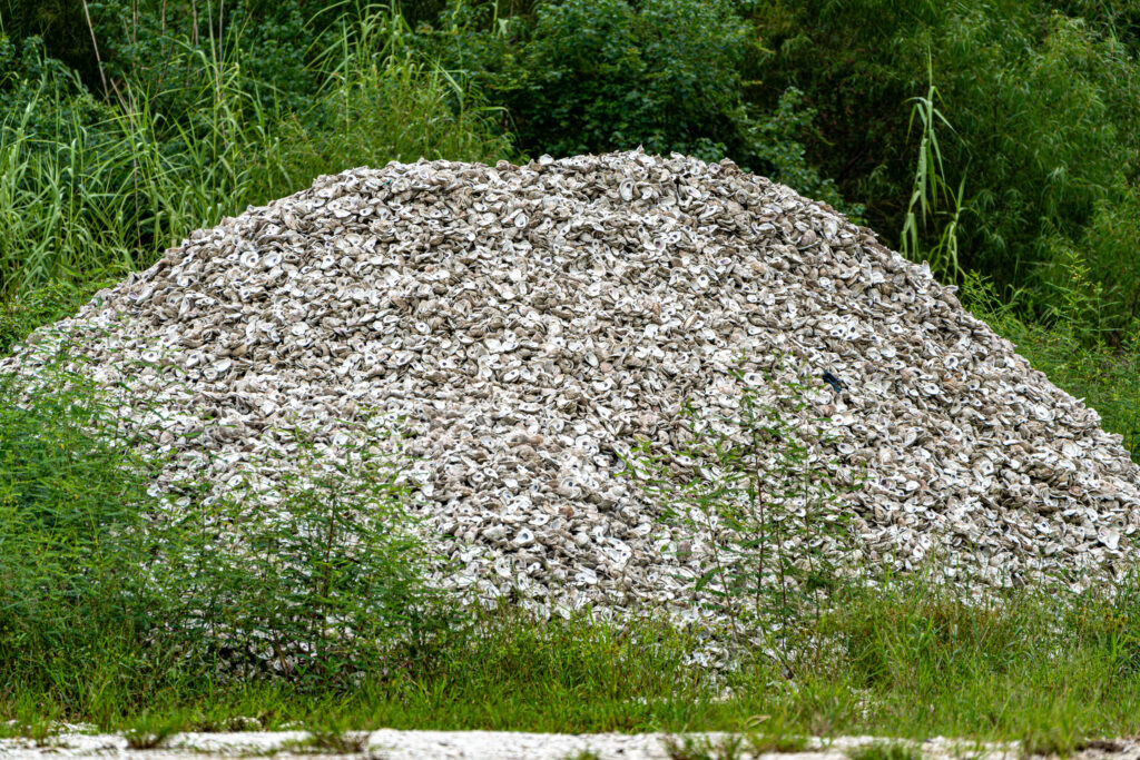 Alabama Environmental Group, Fishermen Seek to End ‘Federal Mud Dumping ...