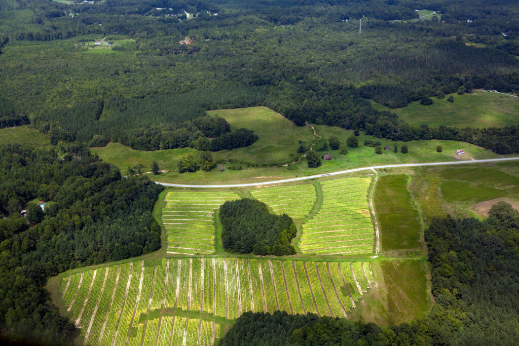 As the Planet Warms, Activists in North Carolina Mobilize to Stop a ...