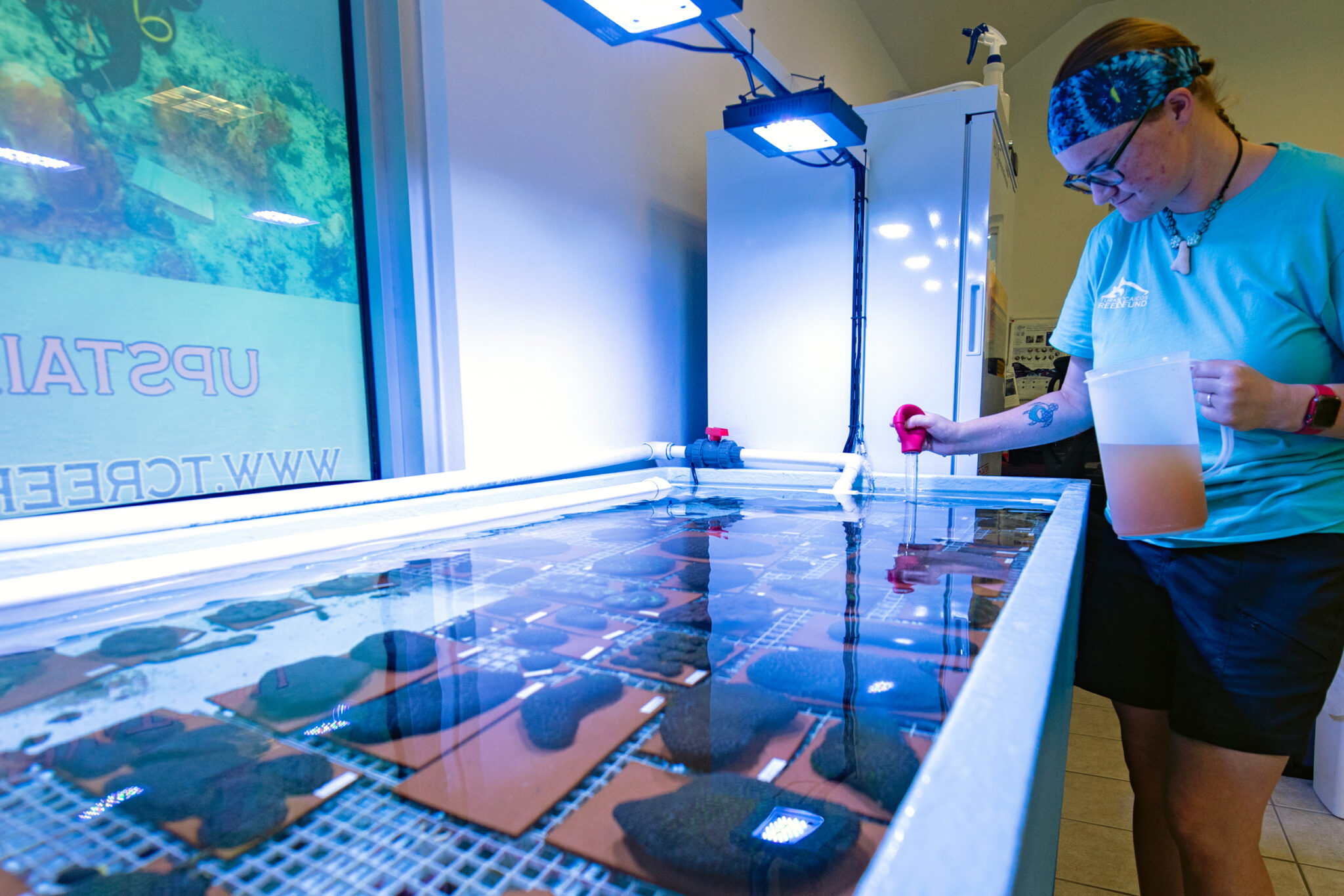Biobanking Corals: One Woman’s Mission to Save Coral Genetics in Turks ...