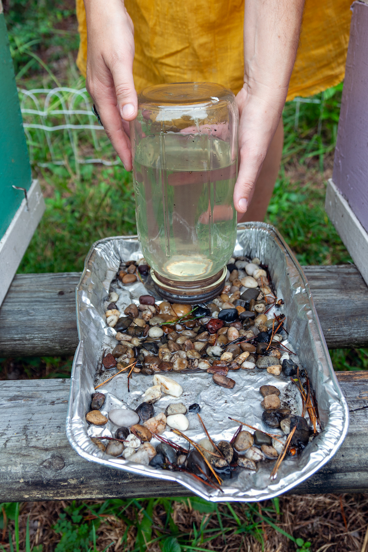 A Family of Beekeepers Could Lose Their Hives Because of a Massive ...