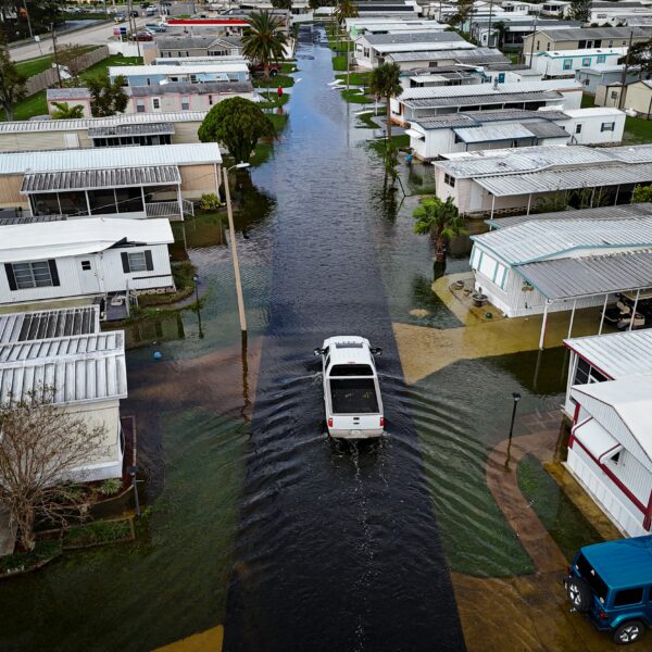 From Displacing Alligators to Stranding Manatees, How Hurricanes ...