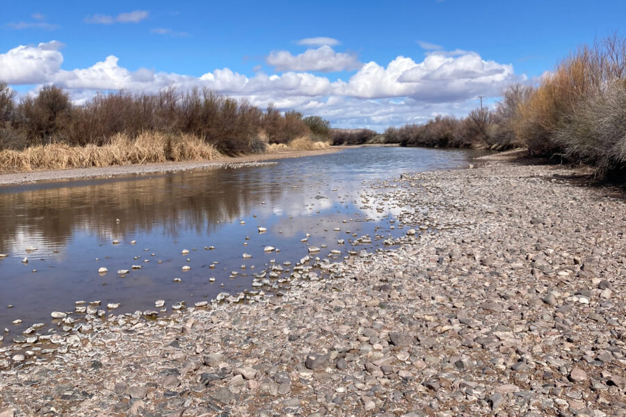 Texas Sued New Mexico Over Rio Grande Water. Now the States are ...