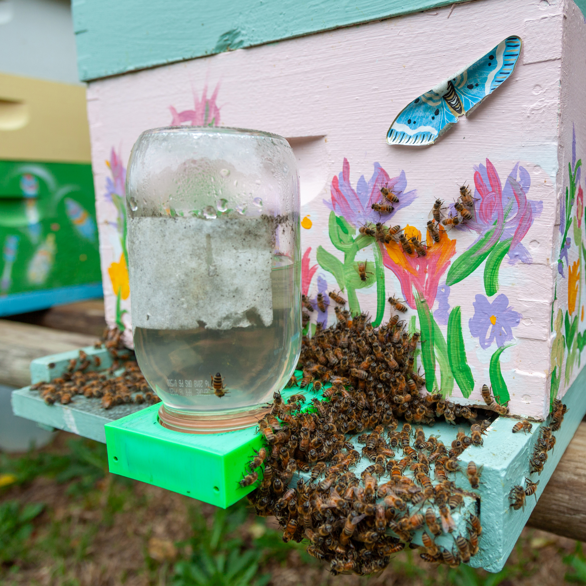 A Family of Beekeepers Could Lose Their Hives Because of a Massive ...
