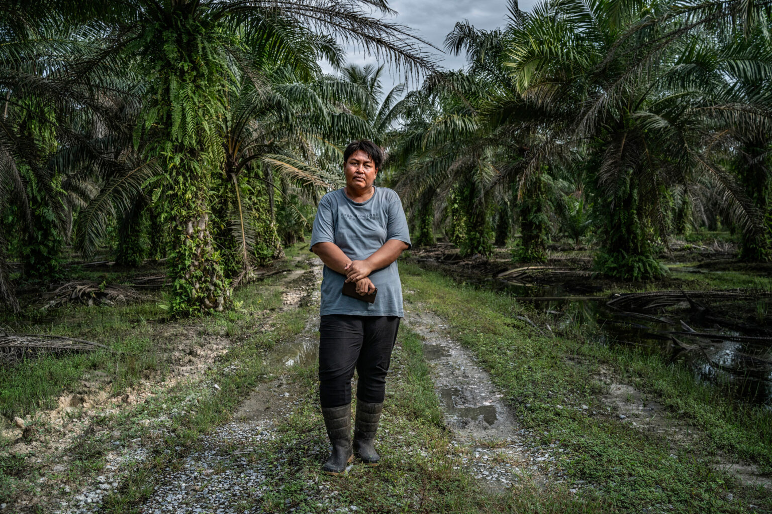 Changes May Ease Burdens of European Deforestation Regulation on Small ...