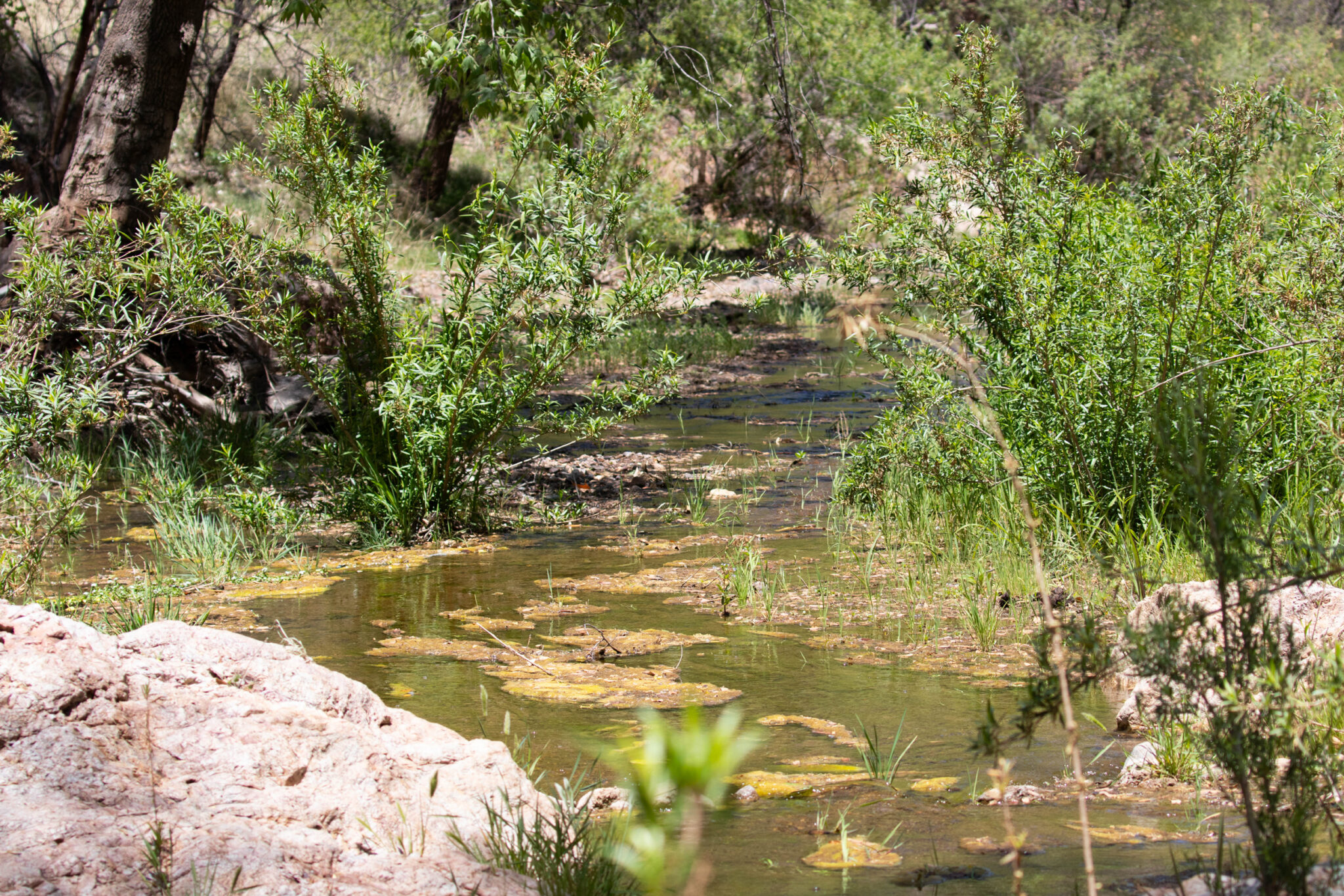 The Renewable Energy Transition Has Residents of a Small Arizona Town ...