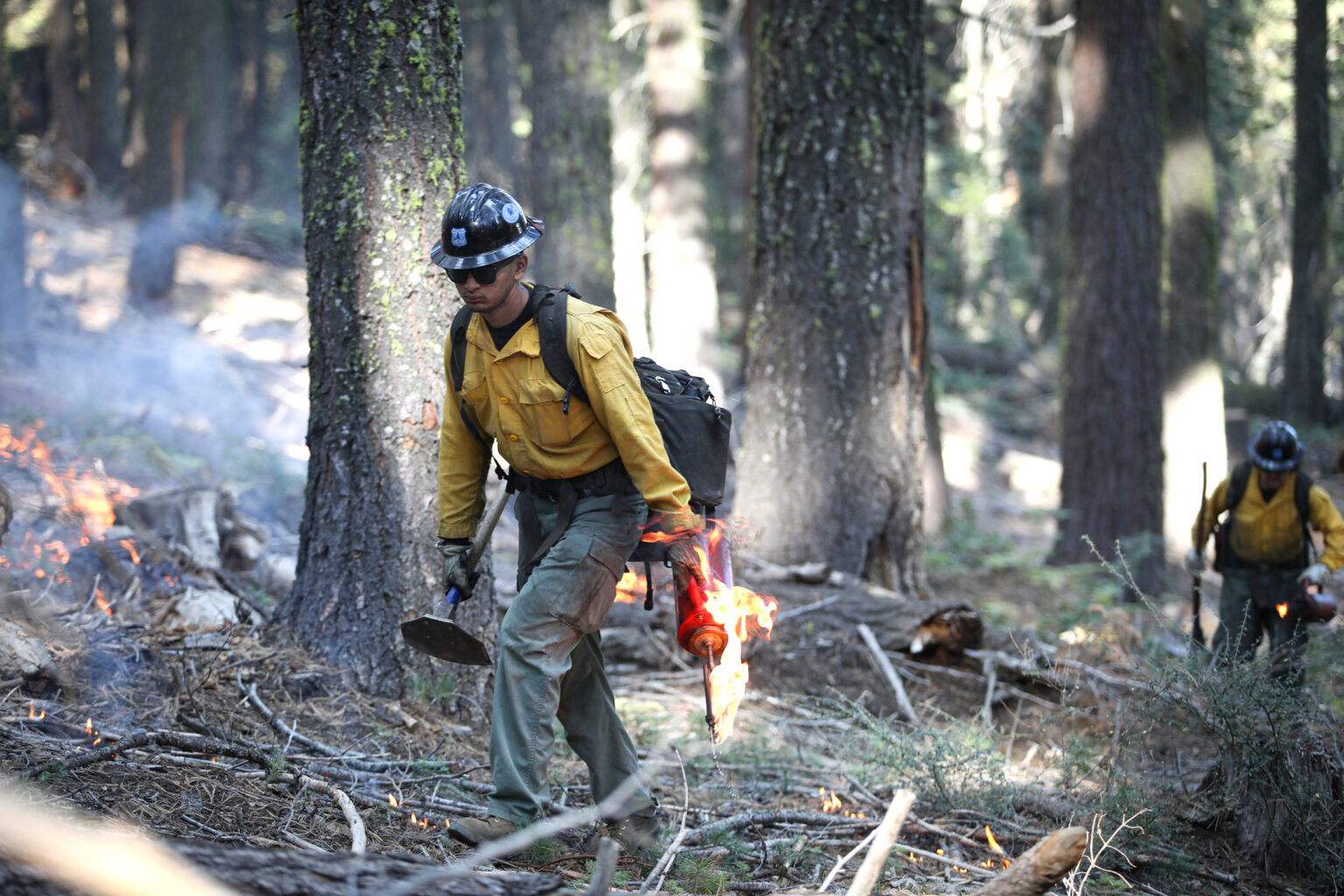 US Forest Service Hiring Freeze Could Have Long-Term Impacts - Inside ...